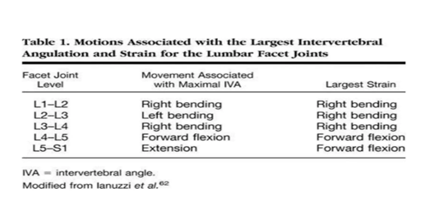Facet Arthritis - Dr. Mahmood Ahmad