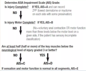 Asia (American Spinal Injury Association) Chart - Dr Mahmood