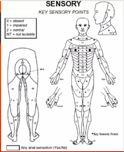 Asia (American Spinal Injury Association) Chart - Dr Mahmood